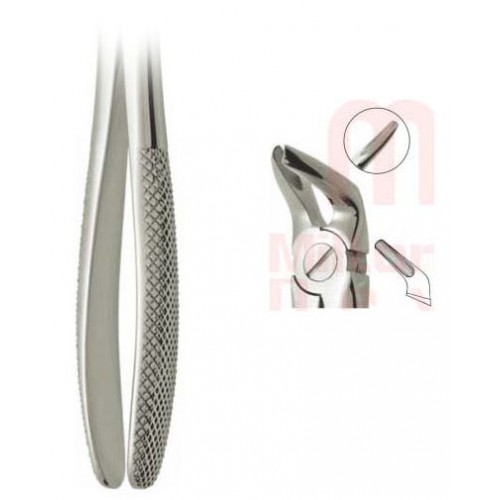 FIG.8 Lower premolars